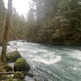 Duckabush River Trail to Five Mile Camp, Washington - 804 Reviews, Map ...