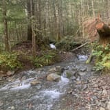 Duckabush River Trail to Five Mile Camp, Washington - 841 Reviews, Map ...
