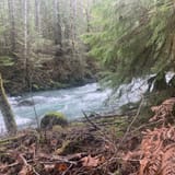 Duckabush River Trail to Five Mile Camp, Washington - 804 Reviews, Map ...