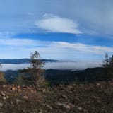 Mount Hebo, Oregon - 174 Reviews, Map | AllTrails