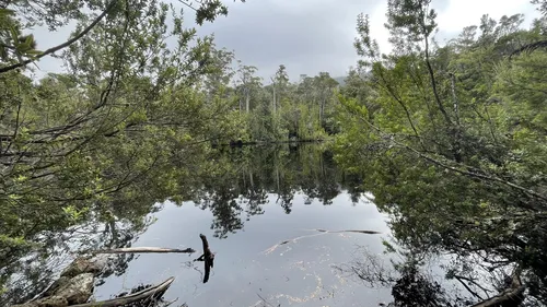 Best Trails, Walks, and Paths in Strathblane | AllTrails