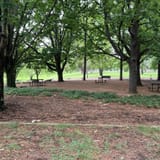 Weston Park Peninsula Loop, Australian Capital Territory, Australia ...