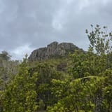 Mount Wedge Summit Track, Tasmania, Australia - 64 Reviews, Map | AllTrails