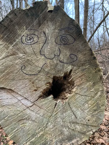 Best Hikes and Trails in Shank Park | AllTrails