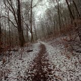 Beatty Park Trail, Ohio - 93 Reviews, Map | AllTrails
