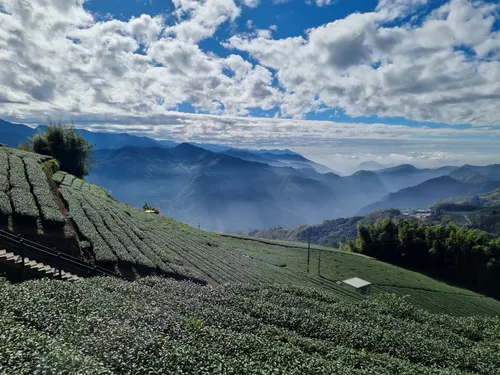 10 Best Trails and Hikes in Alishan | AllTrails