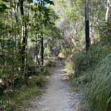 Newlands Forest via the Contour Path, Western Cape, South Africa - 703 ...
