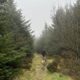 Irton Pike Circular, Cumbria, England - 40 Reviews, Map | AllTrails