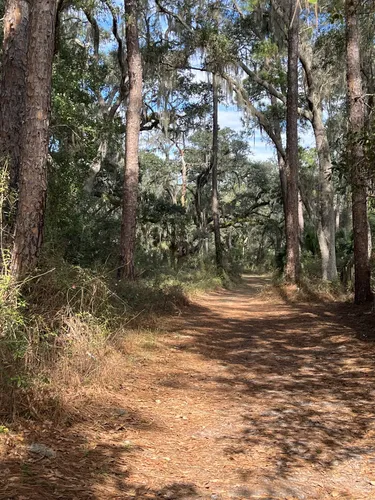 Best Hikes and Trails in Dade Battlefield Historic State Park | AllTrails