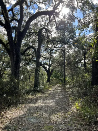 Best Hikes and Trails in Dade Battlefield Historic State Park | AllTrails