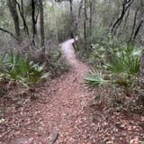 Eastern Lake Trail: Yellow and Red Trails Loop, Florida - 223 Reviews ...