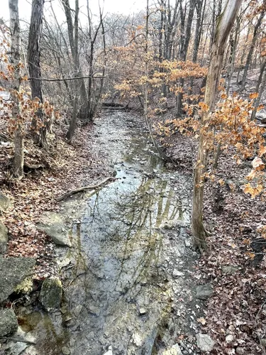 Best Hikes and Trails in Maple Woods Nature Preserve | AllTrails