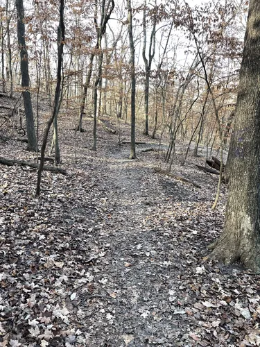 Best Hikes and Trails in Maple Woods Nature Preserve | AllTrails