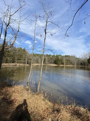 Best Trail Running Trails in Brumley Nature Preserve | AllTrails