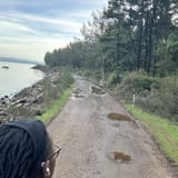 Bayocean Peninsula, Oregon - 710 Reviews, Map | AllTrails