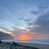 Bayocean Peninsula, Oregon - 710 Reviews, Map | AllTrails