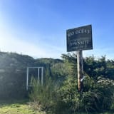 Bayocean Peninsula, Oregon - 710 Reviews, Map | AllTrails