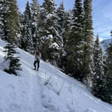 Summit Lake Trail, Washington - 2,724 Reviews, Map | AllTrails