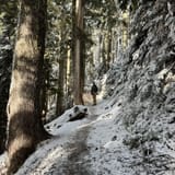 Summit Lake Trail, Washington - 2,724 Reviews, Map | AllTrails