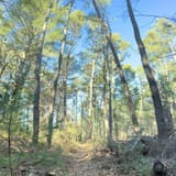 Flax Pond, Massachusetts - 235 Reviews, Map | AllTrails