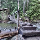 Barclay Lake Trail, Washington - 1,728 Reviews, Map | AllTrails