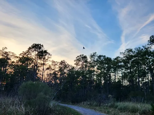 Best Hikes and Trails in Big Branch Marsh National Wildlife Refuge ...