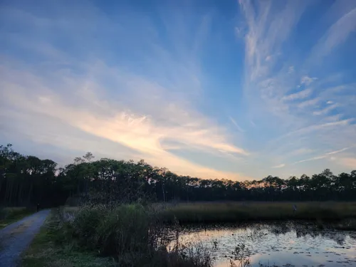 Best Hikes and Trails in Big Branch Marsh National Wildlife Refuge ...