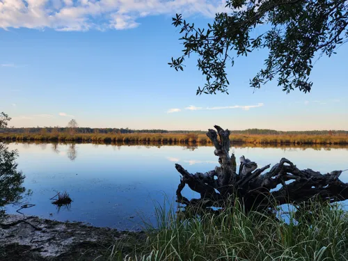 Best Hikes and Trails in Big Branch Marsh National Wildlife Refuge ...