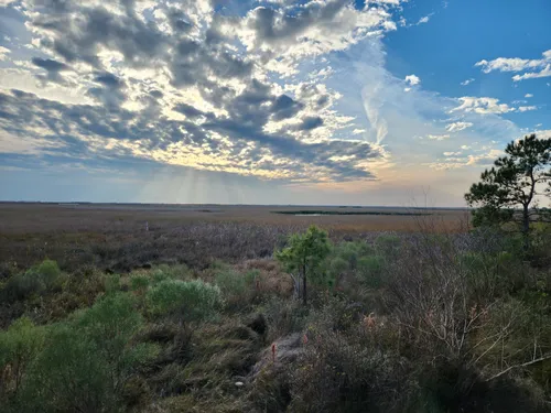 Best Hikes and Trails in Big Branch Marsh National Wildlife Refuge ...