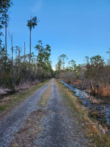 Best Hikes and Trails in Big Branch Marsh National Wildlife Refuge ...