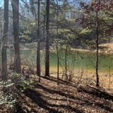 Lake Blue Ridge Loop , Georgia - 813 Reviews, Map | AllTrails