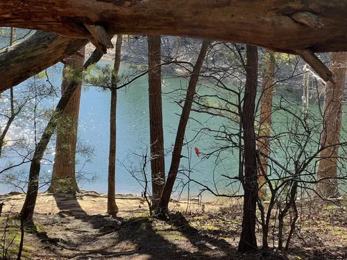 Best Hikes and Trails in Blue Ridge Lake Recreation Area | AllTrails