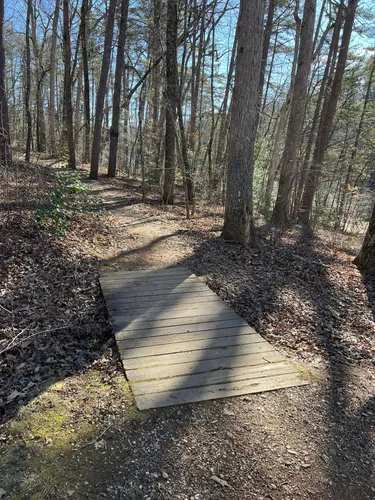 Best Hikes and Trails in Blue Ridge Lake Recreation Area | AllTrails