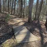 Lake Blue Ridge Loop , Georgia - 813 Reviews, Map | AllTrails