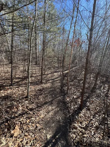 Best Hikes and Trails in Blue Ridge Lake Recreation Area | AllTrails