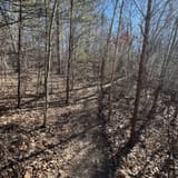 Lake Blue Ridge Loop , Georgia - 813 Reviews, Map | AllTrails