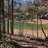 Lake Blue Ridge Loop , Georgia - 813 Reviews, Map | AllTrails