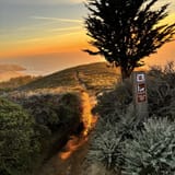 Old Colma Road Loop, California - 1,790 Reviews, Map | AllTrails