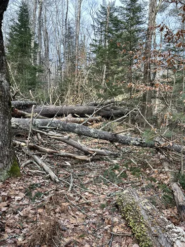 Best Hikes and Trails in Androscoggin Riverlands State Park | AllTrails