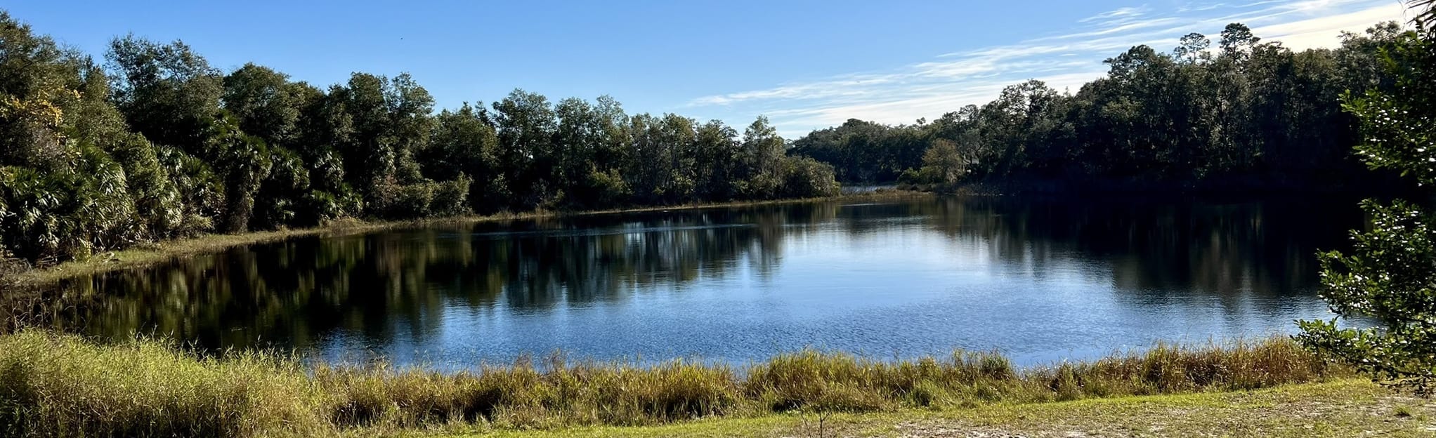 Colby Trail, Florida - 63 Reviews, Map | AllTrails