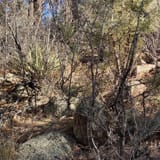Fatmans Loop Trail, Arizona - 4,936 Reviews, Map | AllTrails