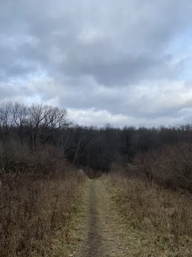 Best Hikes and Trails in Seidman Park | AllTrails