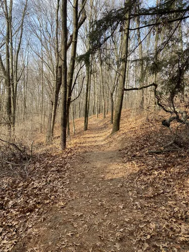 Best Hikes and Trails in Seidman Park | AllTrails