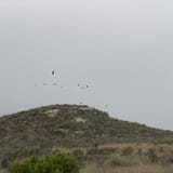 Crespi Trail, California - 224 Reviews, Map | AllTrails