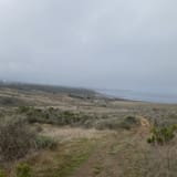 Crespi Trail, California - 224 Reviews, Map | AllTrails