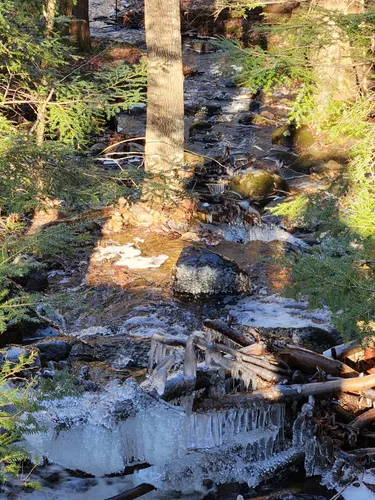 Best Hikes and Trails in Ware River Watershed | AllTrails