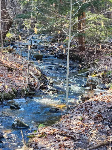 Best Hikes and Trails in Ware River Watershed | AllTrails