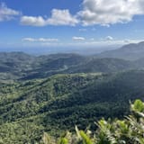 Mount Britton Tower Trail, East Region, Puerto Rico - 1,701 Reviews ...