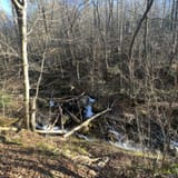 Sunfish Pond via AT and Dunnfield Creek Trail Loop, New Jersey - 1,176 ...