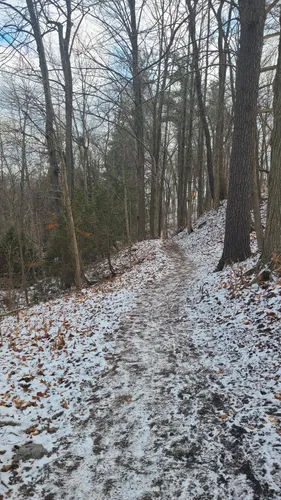 Best Hikes and Trails in Bob Hunter Memorial Park | AllTrails